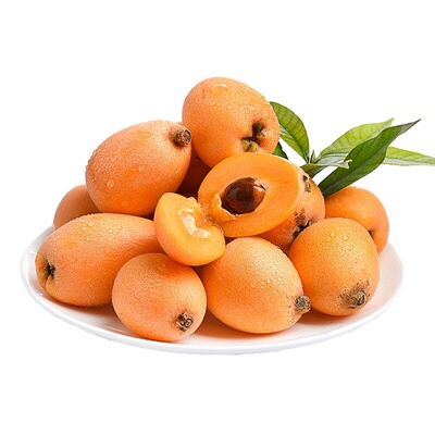 四川攀枝花枇杷大五星枇杷