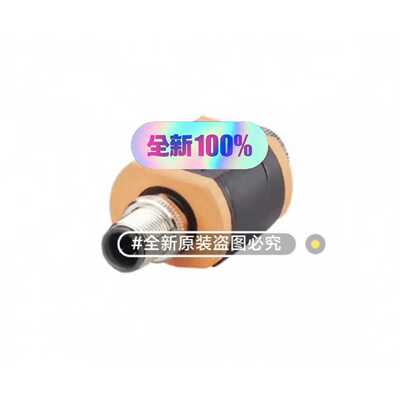 议价IFM易福门DP1222转换器0...10V10L维修