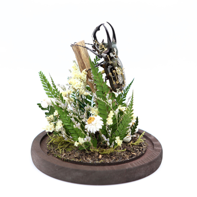 机械改造甲虫标本南洋大兜虫摆件