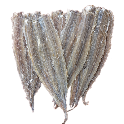 北海特产淡干烧烤专用鳗鱼片