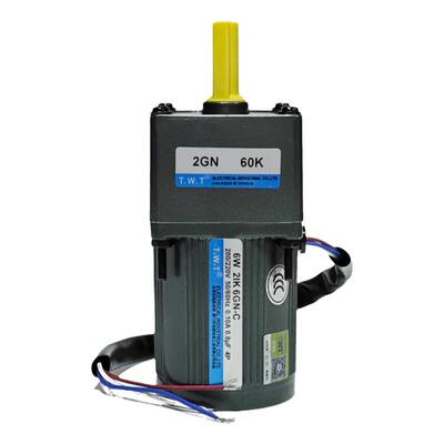 东炜庭TWT单相220V电机2IK6GN-C齿轮减速马达2GN60K交流电动机