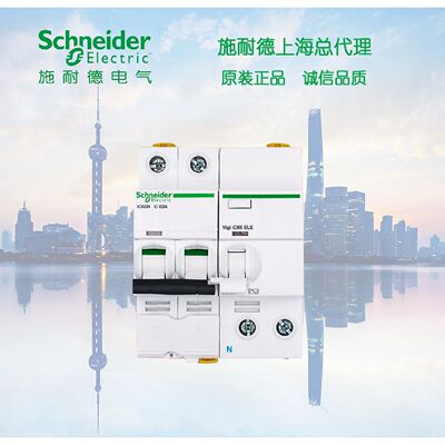 漏电断路器2PC10A带漏电A9F18210A9V53240