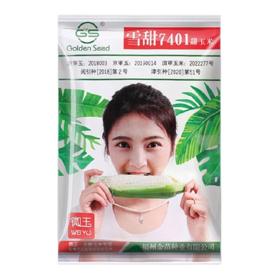 雪甜7401珍珠牛奶白水果玉米种子