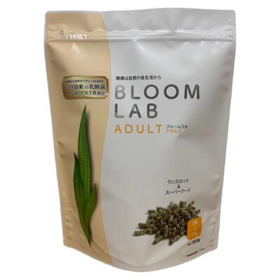 原装进口Wooly成兔现货花开系列