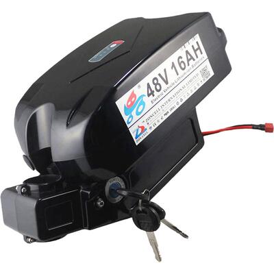 中顺芯小青蛙山地自行车锂电池