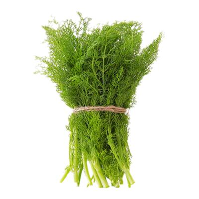 生态青菜旭耕茴香新鲜蔬菜