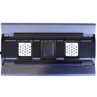 鱼缸珊瑚灯迈光MAXSPECT