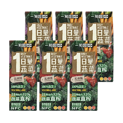 一甸园NFC新鲜蔬菜汁正餐伴侣