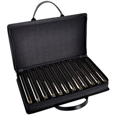 TOMBO新款型号6624s包邮复音口琴