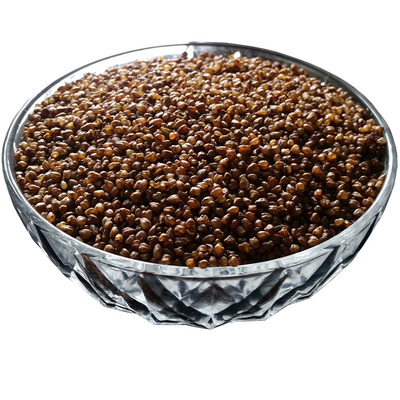 正宗黑苦荞米大凉山黑荞煮饭煮粥