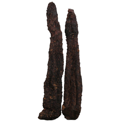 正宗内蒙古整根阿拉善肉苁蓉