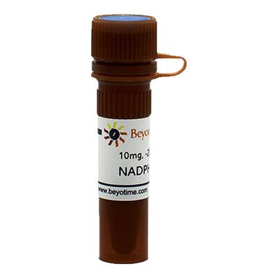 碧云天 ST360-10mg ST360-50mg/200mg/1g NADPH还原型辅酶Ⅱ四钠