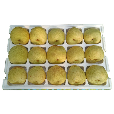 正宗砀山酥梨新鲜水果梨子酥脆甜