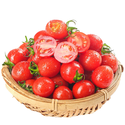 圣女果小番茄新鲜现摘