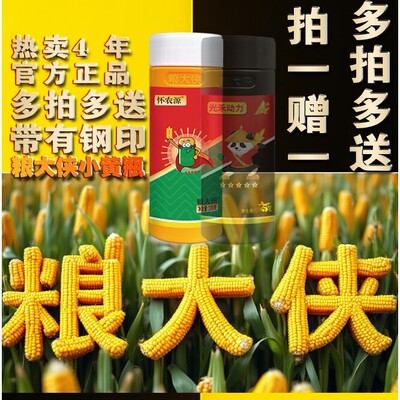 【玉米棉花大豆】粮大侠小黄瓶膨大增产素增产1瓶10亩地苄胺完三