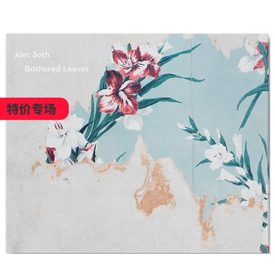 【现货】【Alec Soth】Gathered Leaves 收集的树叶 英文原版摄影集