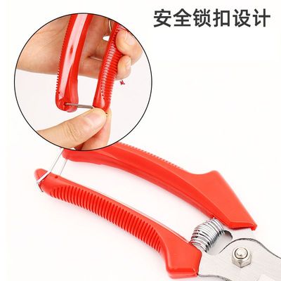 大蒜剪农用剪刀碳钢工厂洋葱苗大头批发剪刀根茎园艺蒜头剪高硬度