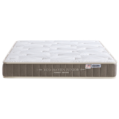 抑菌防螨偏硬护脊弹簧床垫