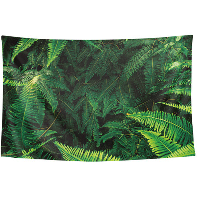 装饰画清新自然叶子周边写真