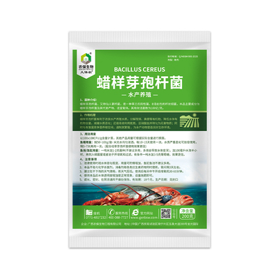 益生菌蜡样芽孢杆菌调节水质促进水产动物肠道菌群吸收