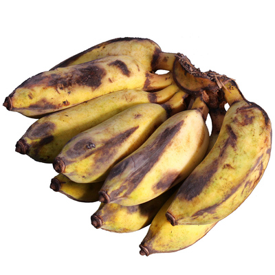 池见家好吃的野生有机芭蕉