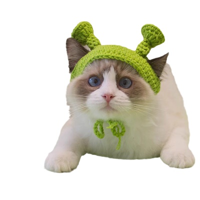 网红痞宠物帽子petmemory