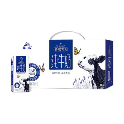 华山牧3.3g蛋白200gx10盒常温奶