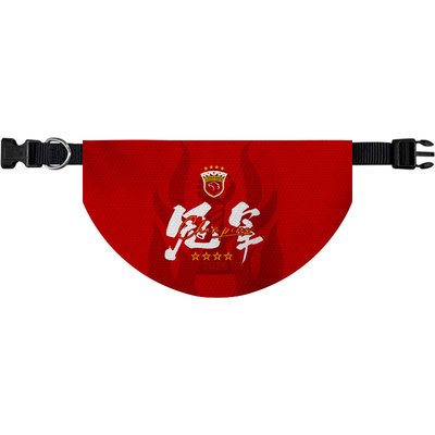 2026上海申花海港北京国安口水巾