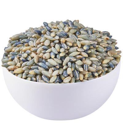 【新品特惠】青稞米500克大麦元麦青麦仁杂粮米青颗米早餐粥焖饭