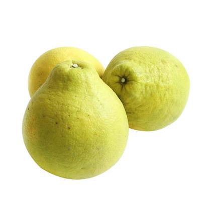 新鲜正宗容县现摘包邮沙田柚子