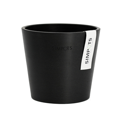 网红爆款黑胶块根植物花盆简约