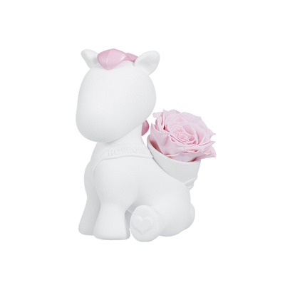 ROSEONLY悦慕马永生花