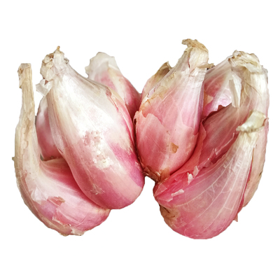 新葱头小红葱头个头小