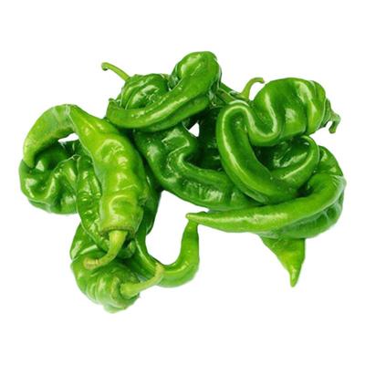 四季阳台盆栽辣椒种子高产螺丝椒