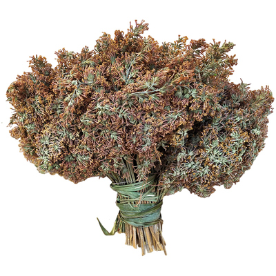 纯植物染饭花密蒙花五色套装