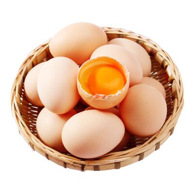 力丹当天产可生吃40枚无菌鸡蛋