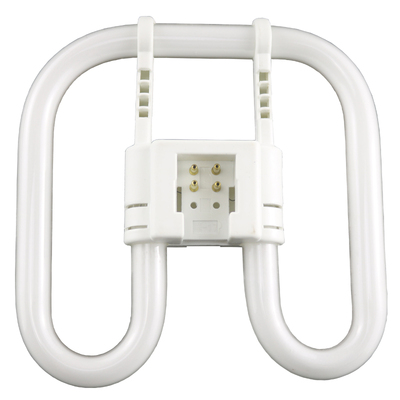 蝴蝶灯管2d21w28w38w厨房三基色