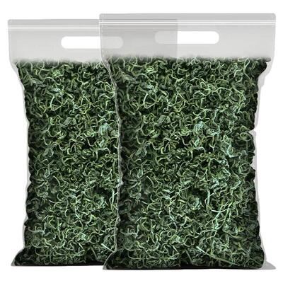 蒲公英茶长白山正品新茶节婆婆丁