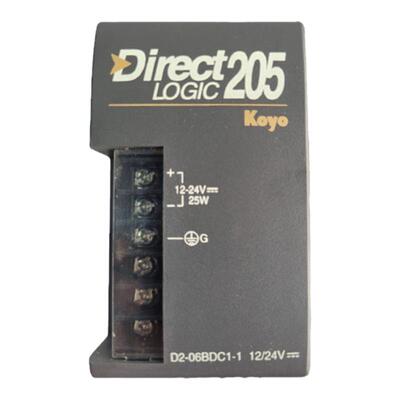 原装PLC光洋D2-06BDC1-1 09B-1 263 CTRINT TD1 ND3 EM CM