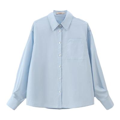 Jicouture“frozen lake”刺绣宽松衬衫女春季新款高级感长袖衬衣