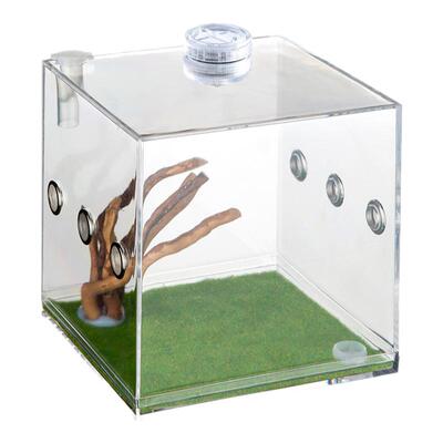 宠物蜘蛛昆虫亚克力饲养螳螂蝈蝈