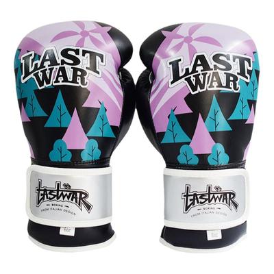 lastwar高端儿童拳套搏击训练