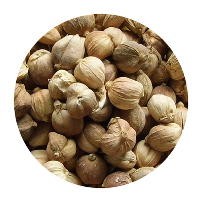 50克 白豆蔻 白蔻仁 可打粉 特级中药材 品质精选