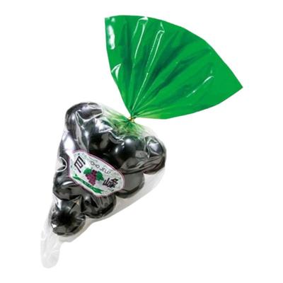 日本果汁布丁巨峰葡萄推荐