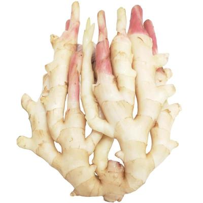 农家自种现挖现发仔姜