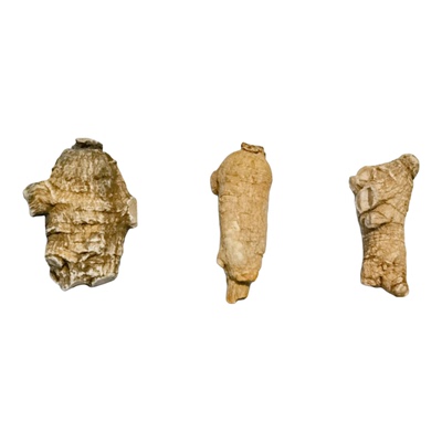 500g西洋参段西洋参段美国花旗参