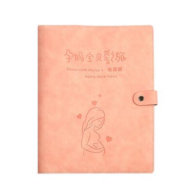 收纳报告a4活页便携资料检查单