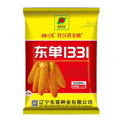 高产玉米种子正品大棒矮杆抗旱涝