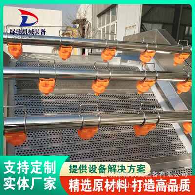 非标定制果蔬加工设备 大型全自动气泡请洗机 生姜鼓浪式洗菜机