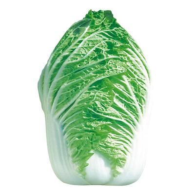 农科院北京新三号大白菜种子